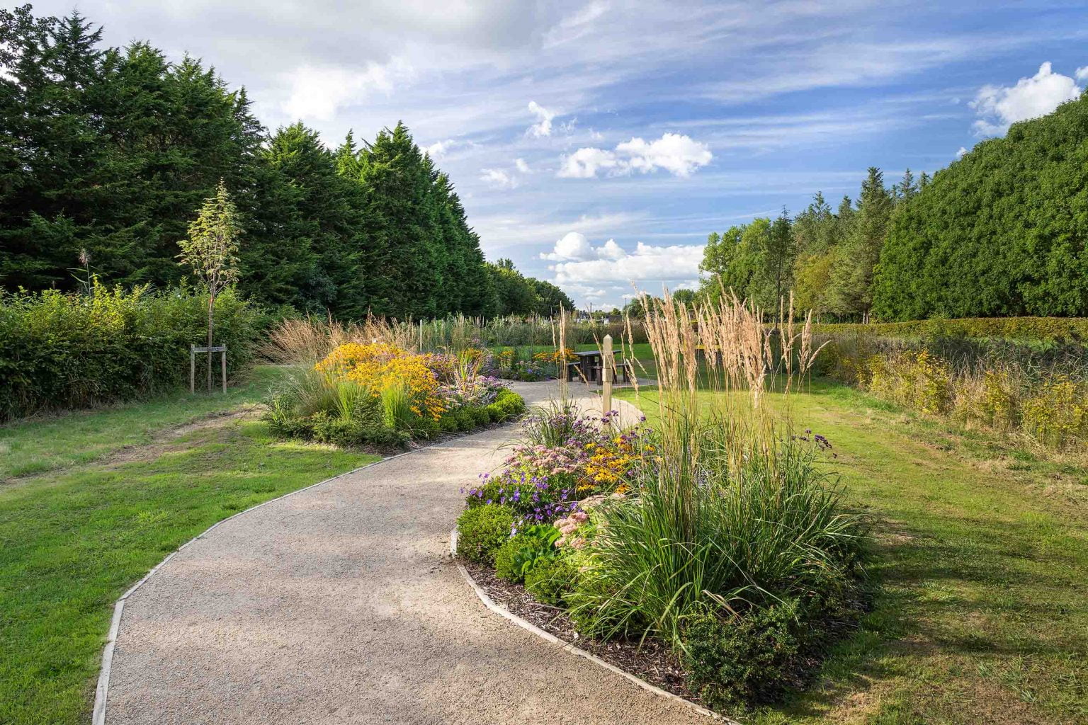Shannon Biodiversity Garden – DRLA Dave Ryan Landscape Architects